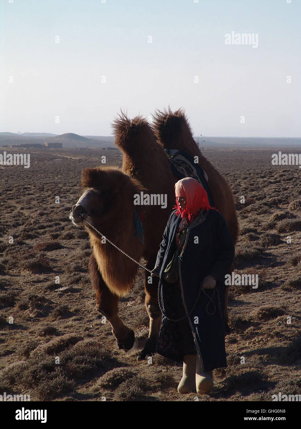 Tuyas Hochzeit / Leben unterwegs: Tuya (YU Nan) ist eine Nomadin Regie ...