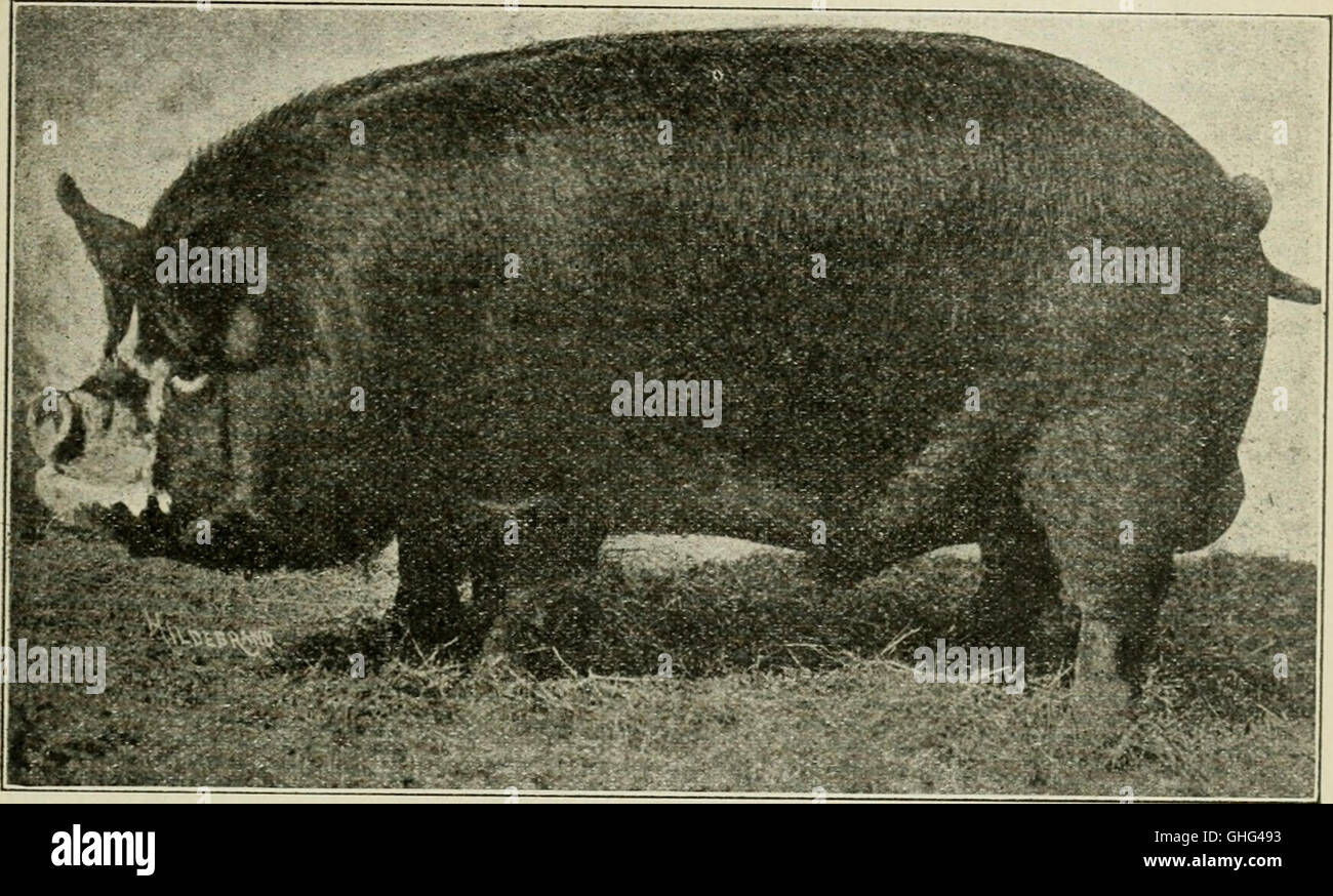 This bulletin, beginning in 1905, serves as a periodical publication ...