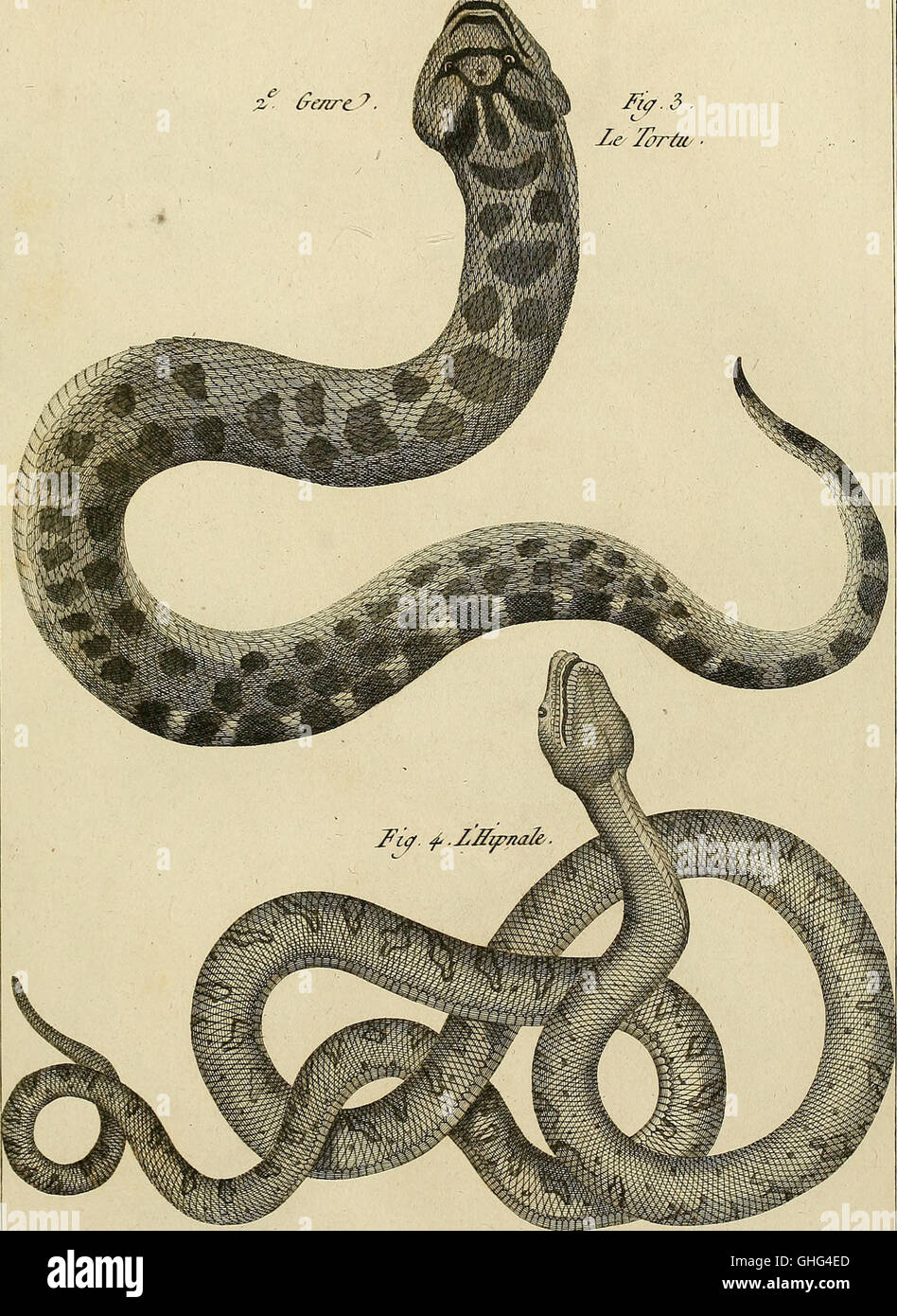 A 1790 work presenting an encyclopedic and methodical overview of the ...