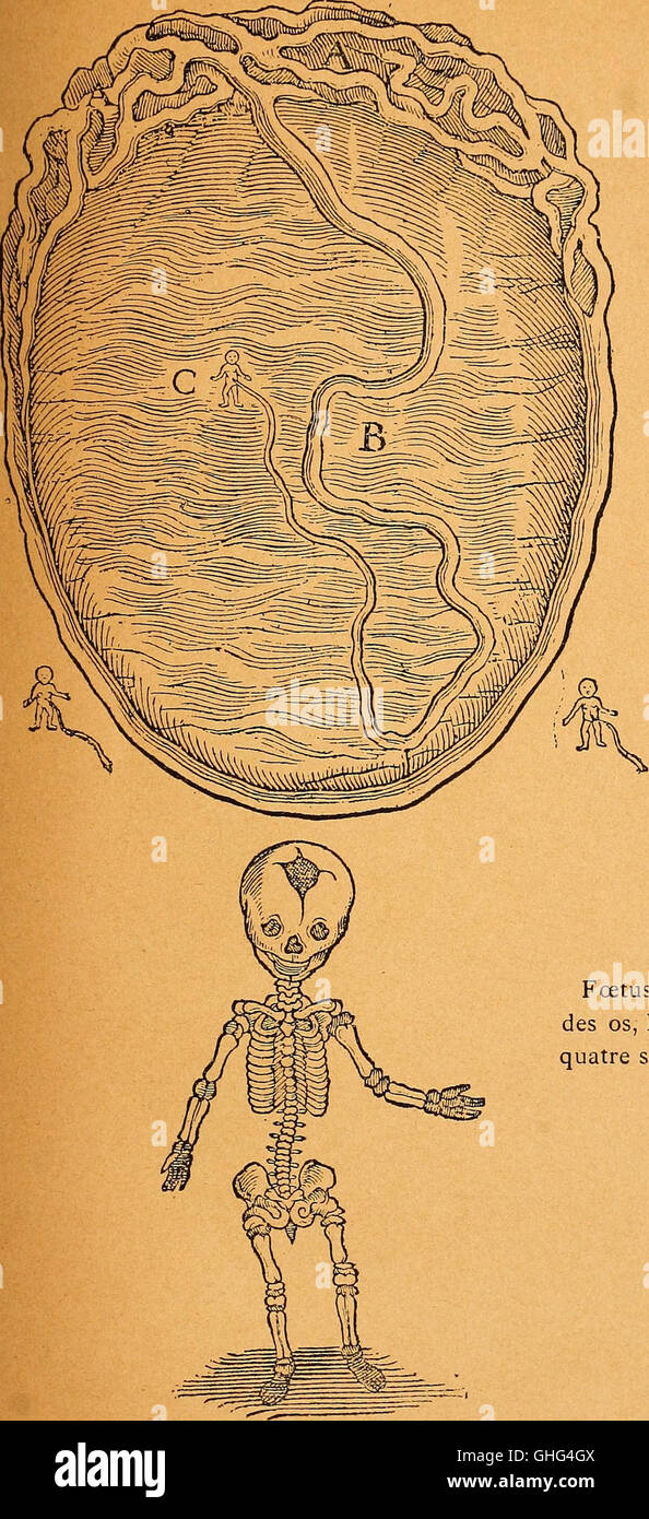 This 1891 historical study examines the female reproductive system ...