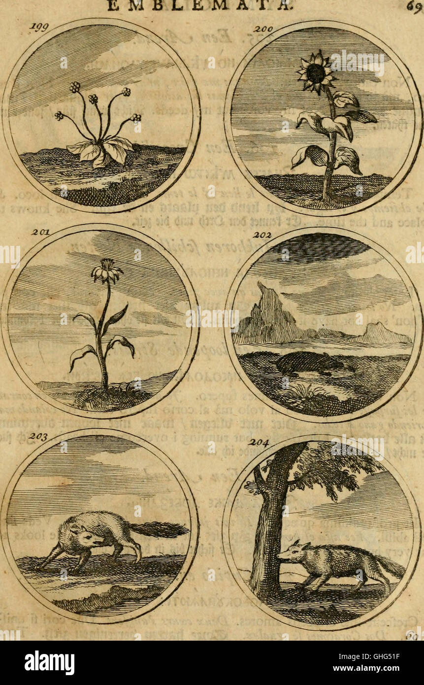 Symbola et emblemata (1705 Stock Photo - Alamy