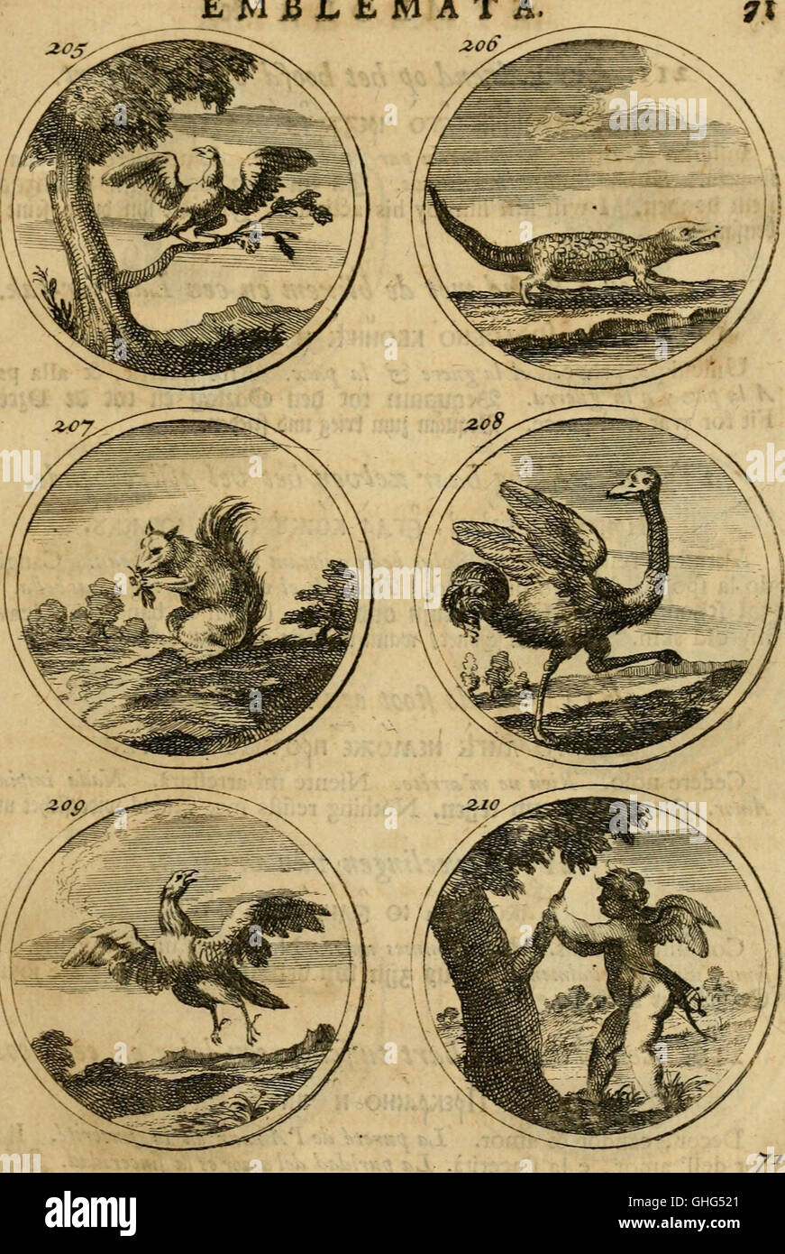 Symbola et emblemata (1705 Stock Photo - Alamy