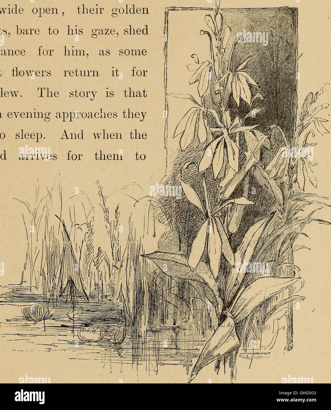 Wild Flowers and Where They Grow (1882) provides descriptions of native ...