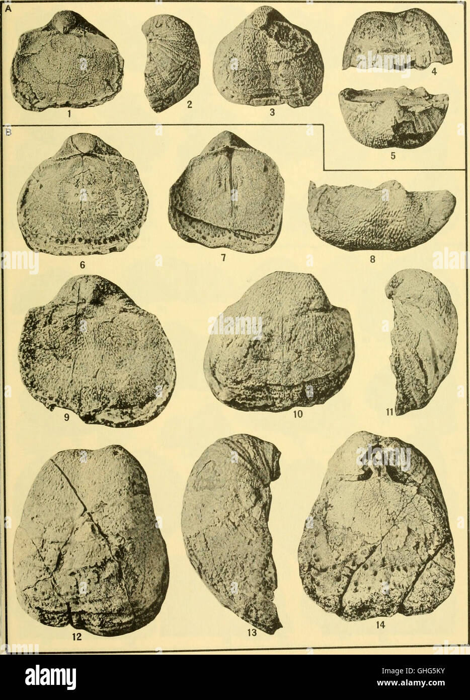 A collection of diverse articles and research published by the ...