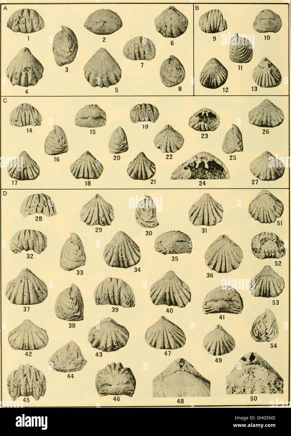 *Smithsonian Miscellaneous Collections* (1959) is a series of scholarly ...