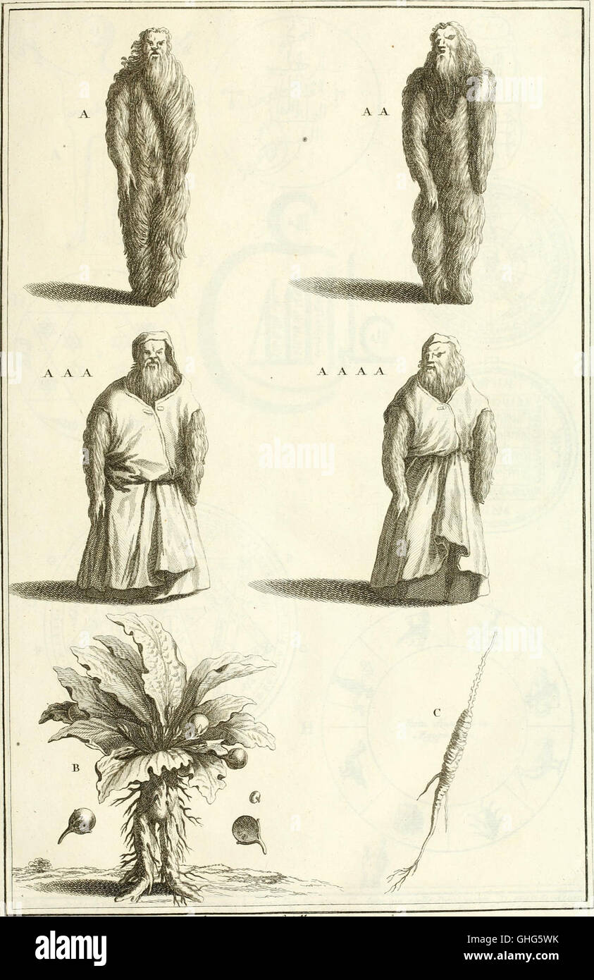 A 1733 French work discussing ancient and modern superstitions, popular ...