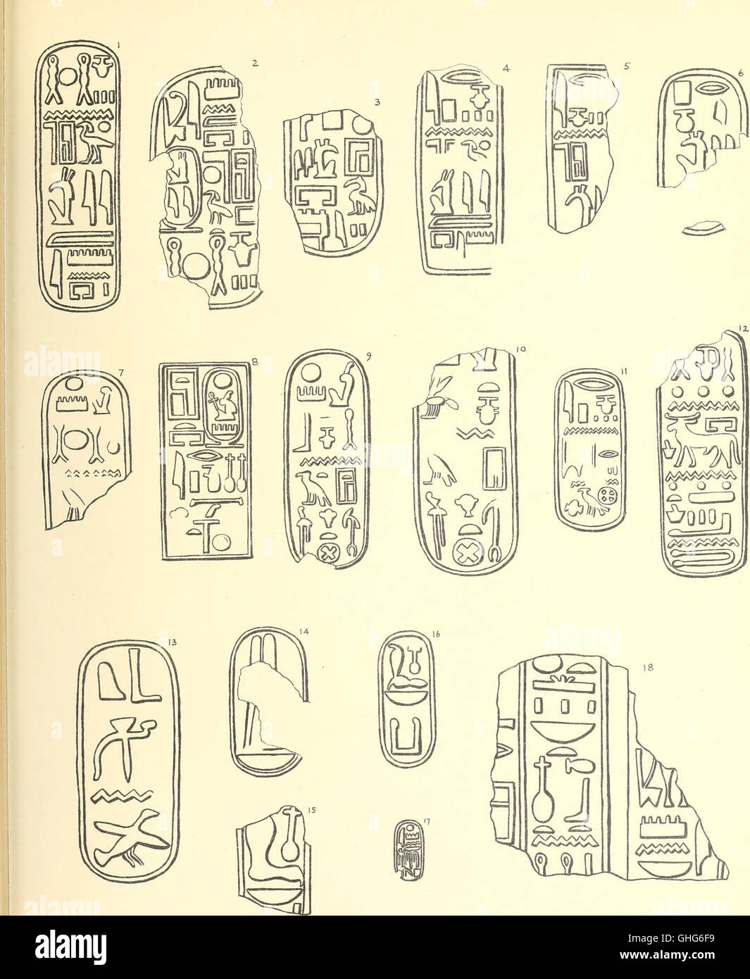 This 1895 volume is a compilation of various publications, encompassing ...