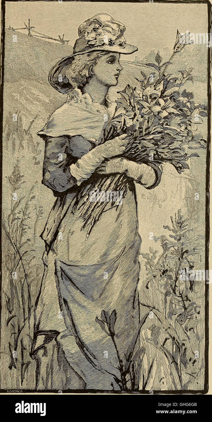 This 1882 book is a guide to identifying wildflowers and understanding ...