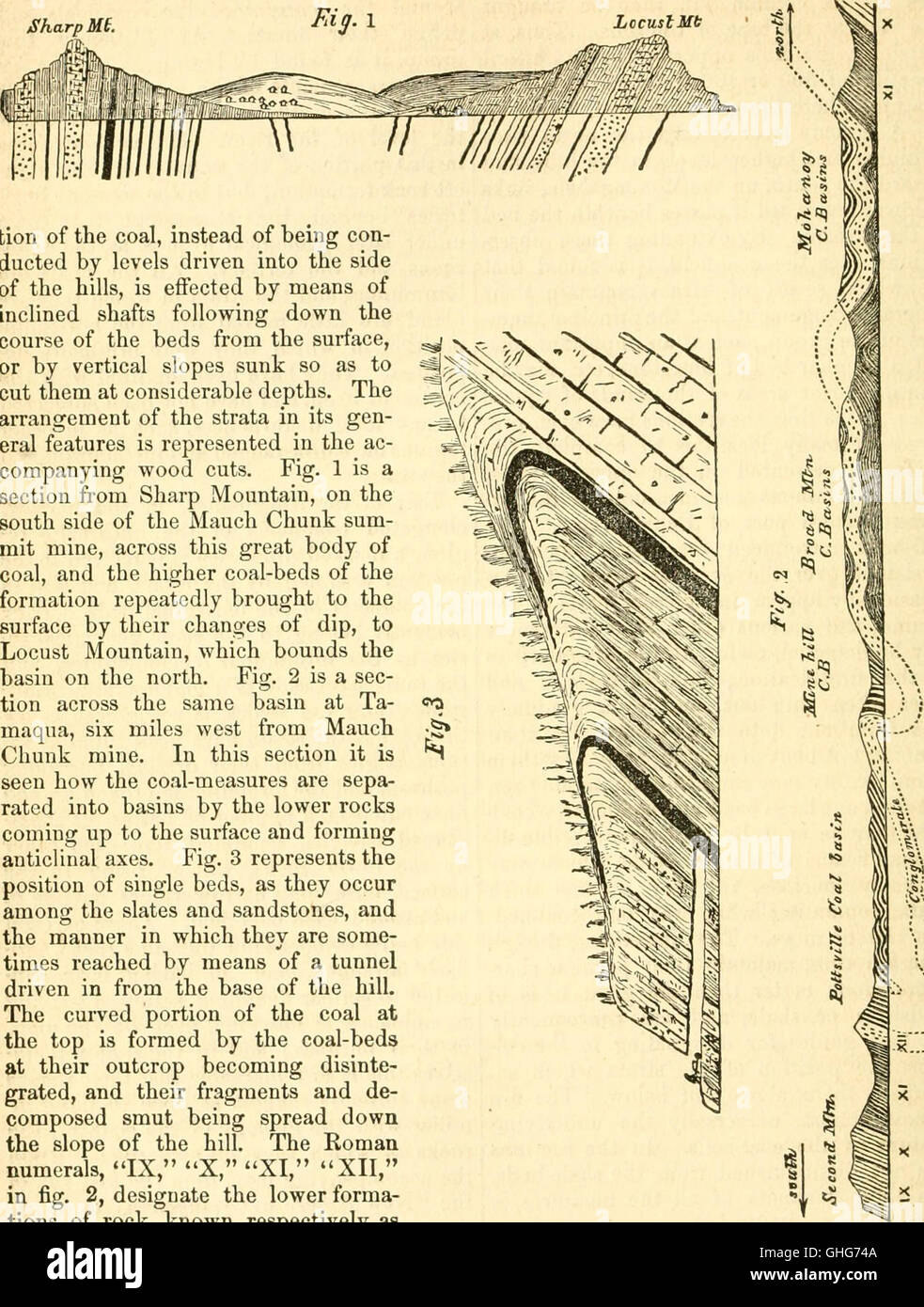 This 1873 work examines the development and transformation of the ...