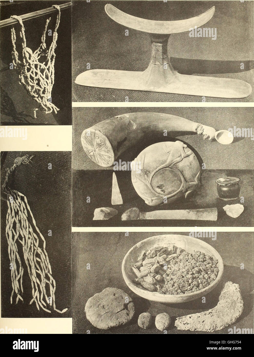 This collection of publications from 1895 presents various academic and ...