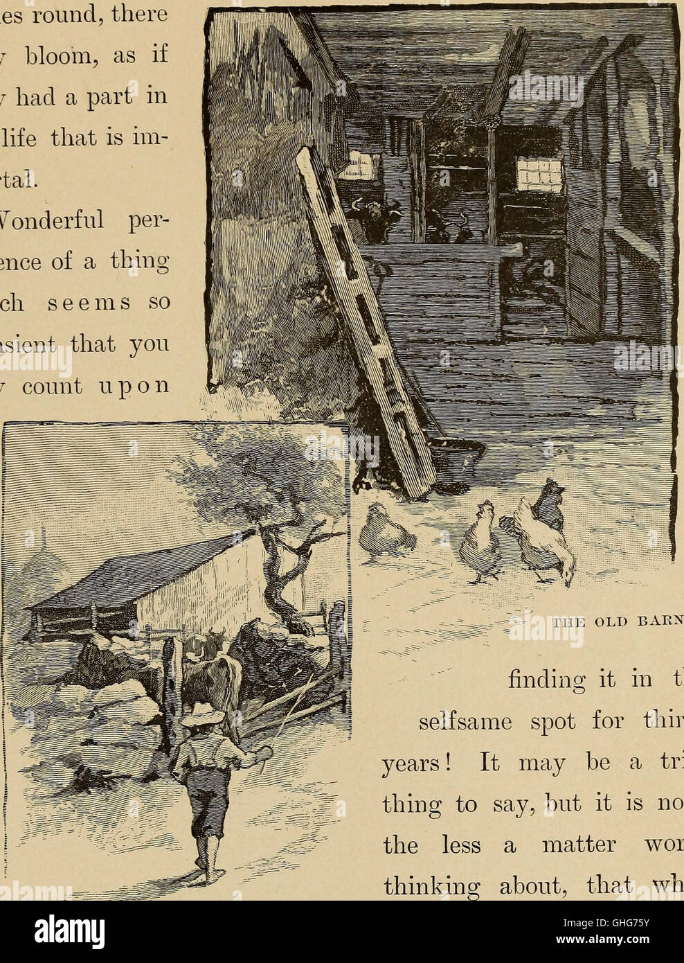 'Wild Flowers and Where They Grow' (1882) provides a guide to ...
