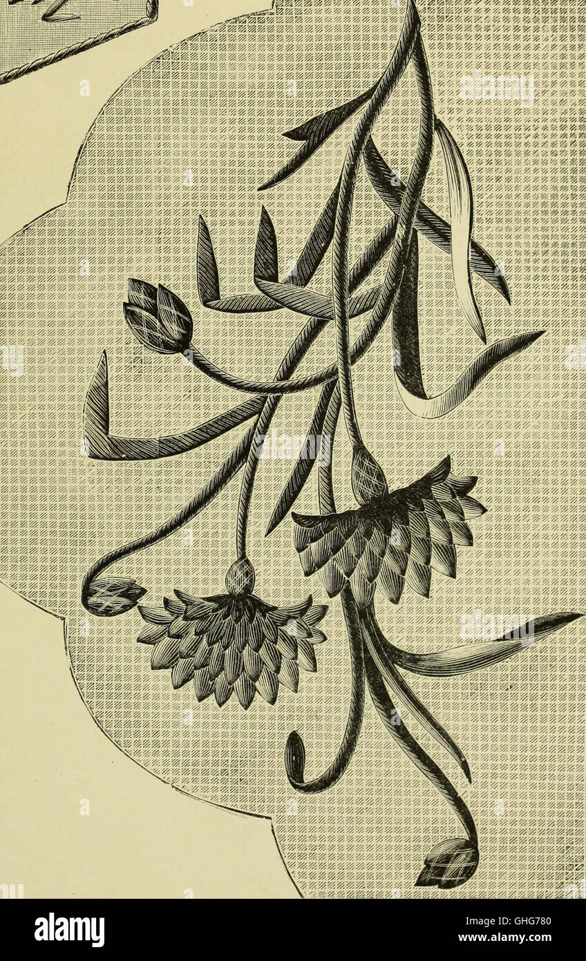 This comprehensive guide on needlework covers various types of stitches ...