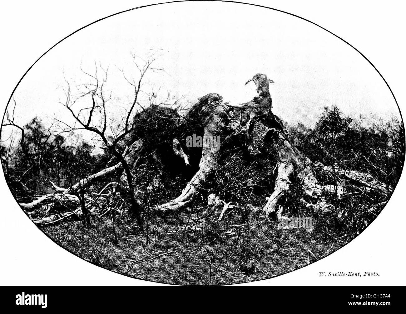 This 1897 work offers a detailed account of the author's experiences as ...
