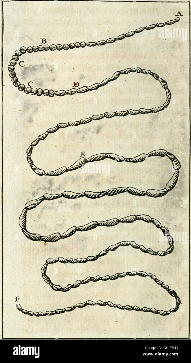 'De la Generation des Vers dans le Corps de l'Homme' (1741) is a ...