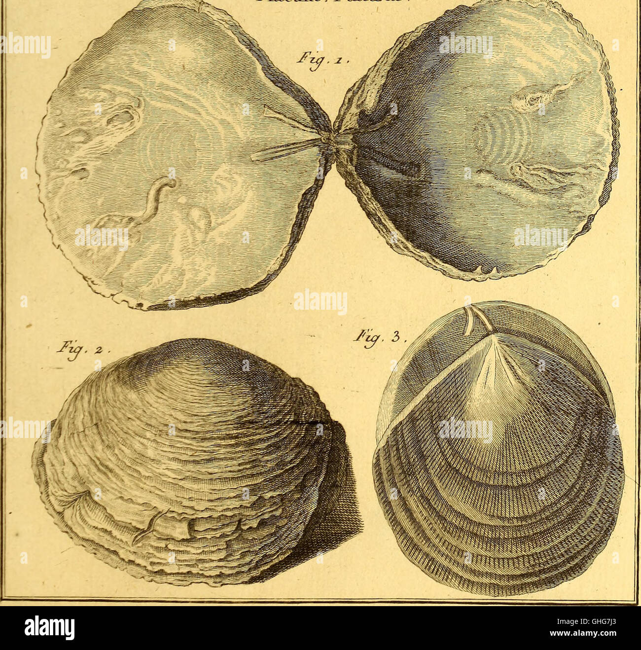 This 1791 work presents a comprehensive and systematic table of the ...
