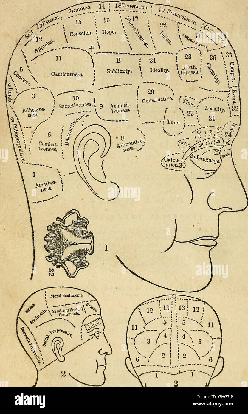 'Education and Self-Improvement' (1844) connects principles of ...