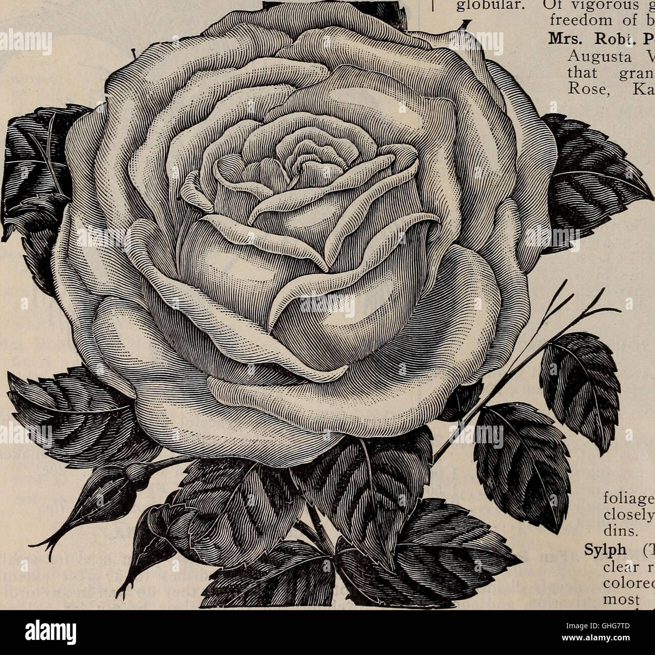 A publication from the spring of 1902, likely covering relevant ...