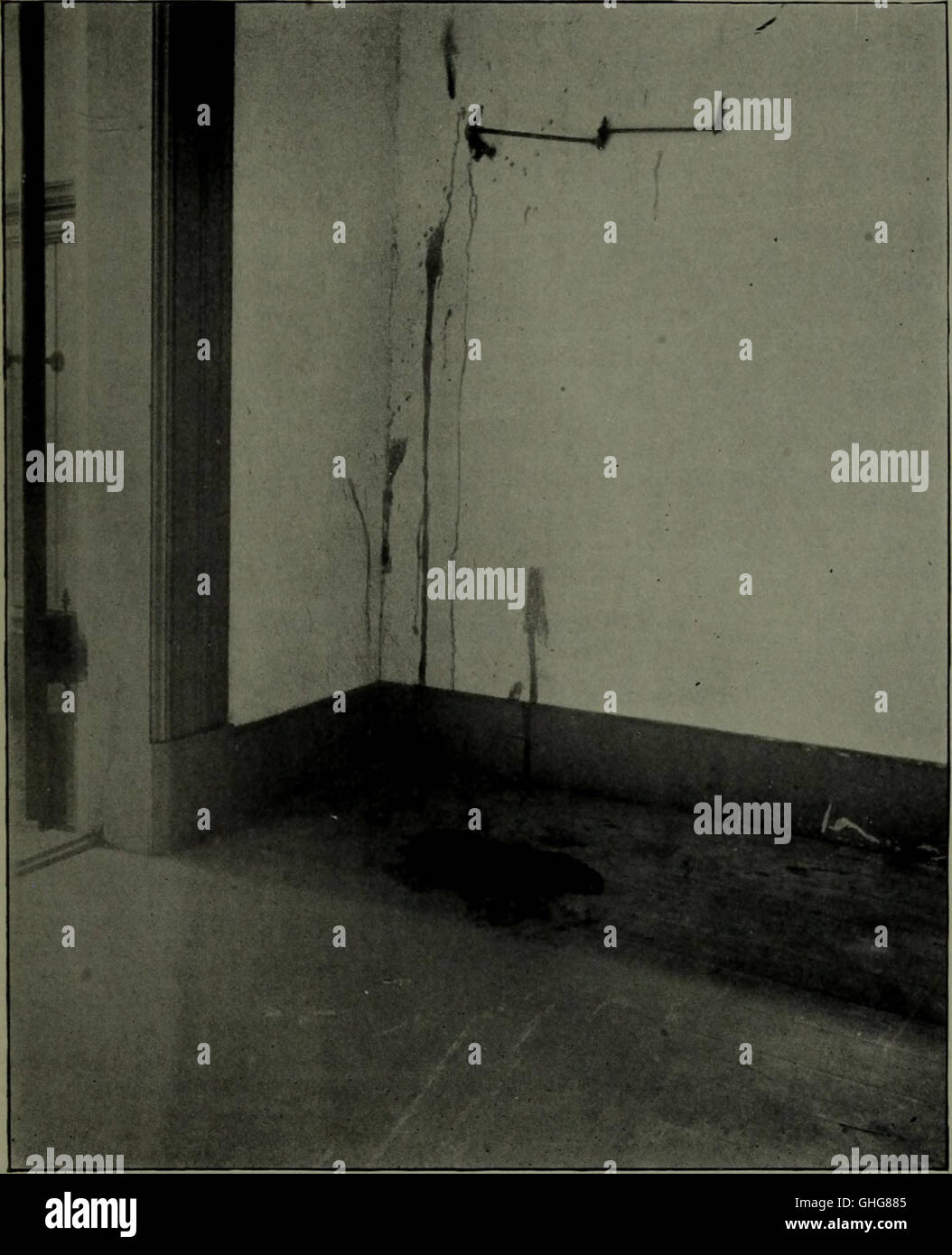 The 'Report of the Trial of William Henry Theodore Durrant' provides a ...