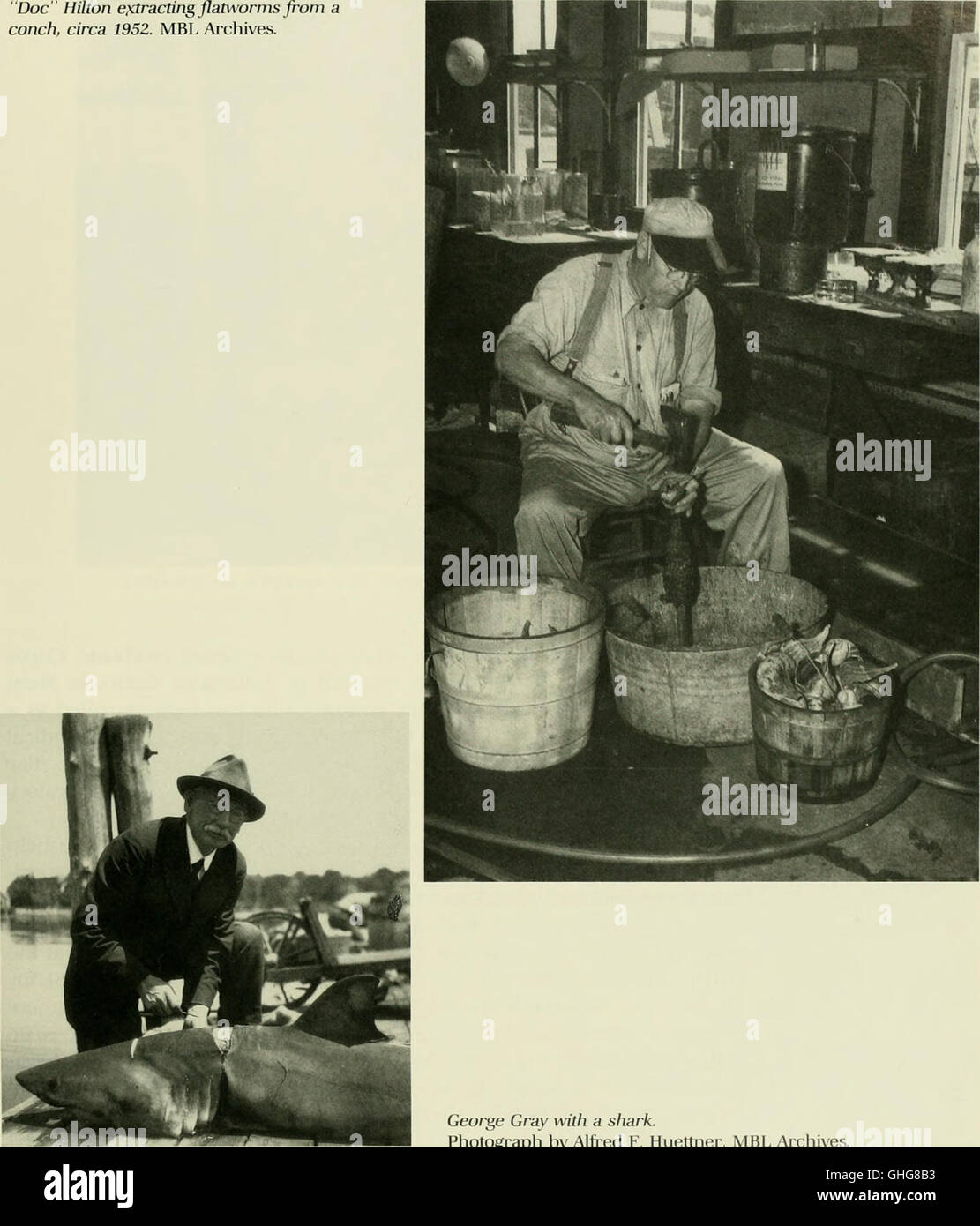 A centennial overview of the Marine Biological Laboratory at Woods Hole ...