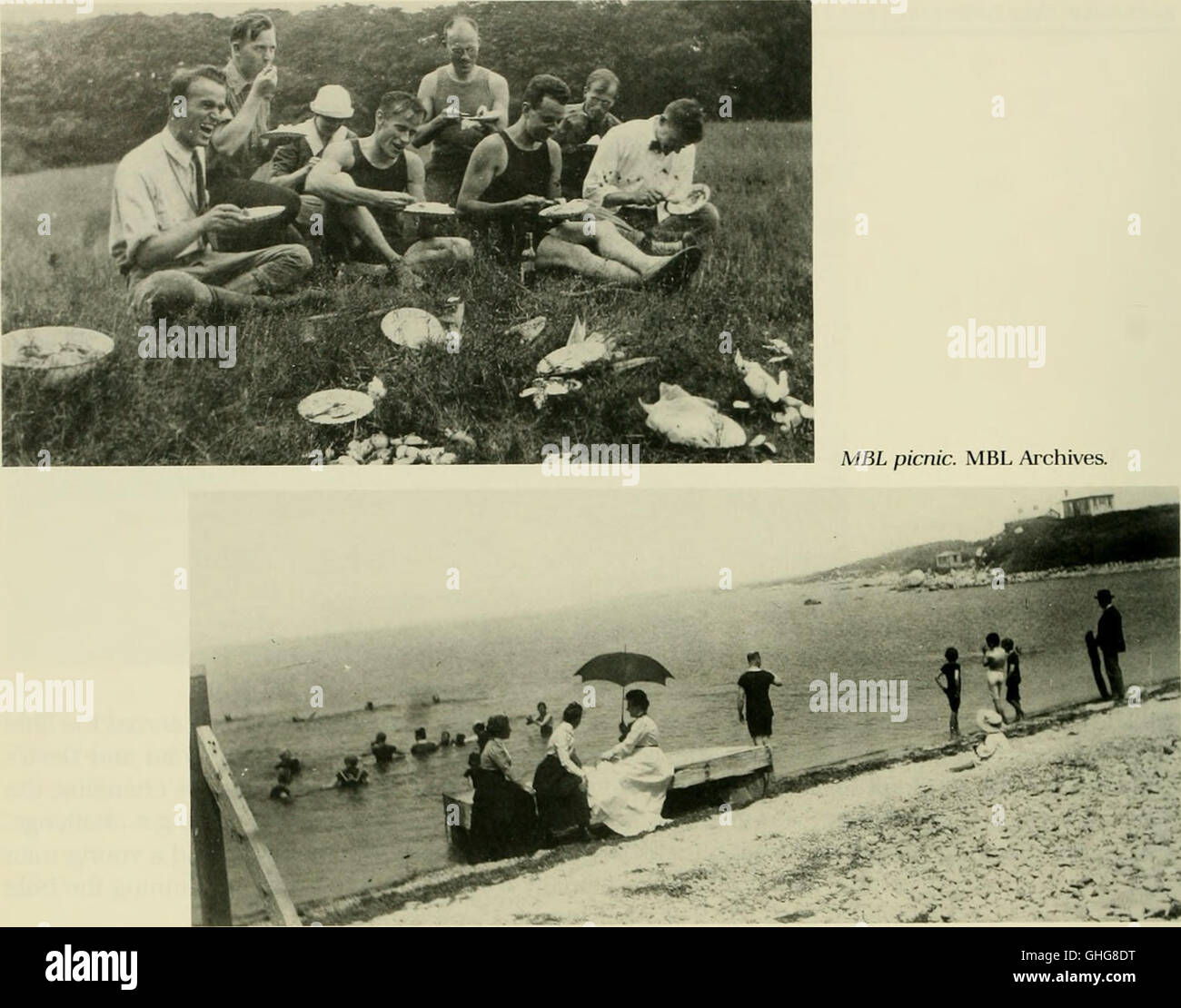 This 1989 publication marks the centennial of the Marine Biological ...