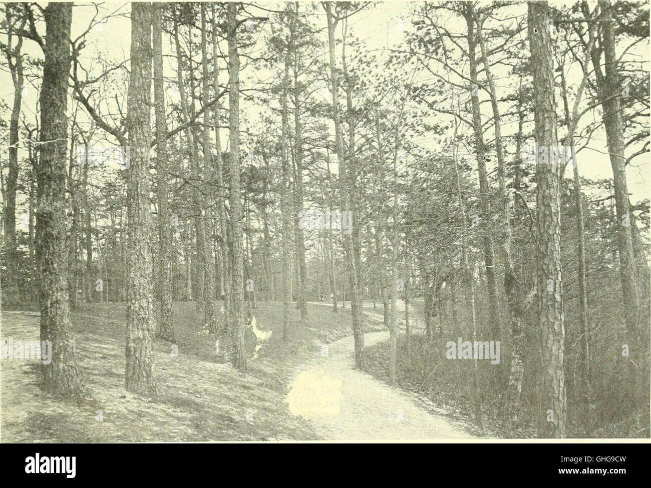 'The Suburbanite' (1910) is a monthly magazine that focuses on suburban ...