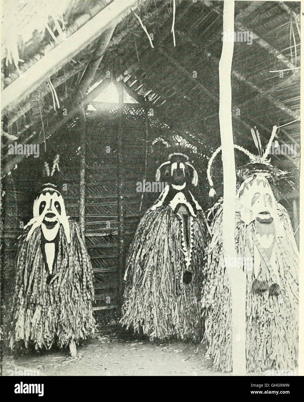 'Taming New Guinea' (1922) discusses the exploration and colonization ...