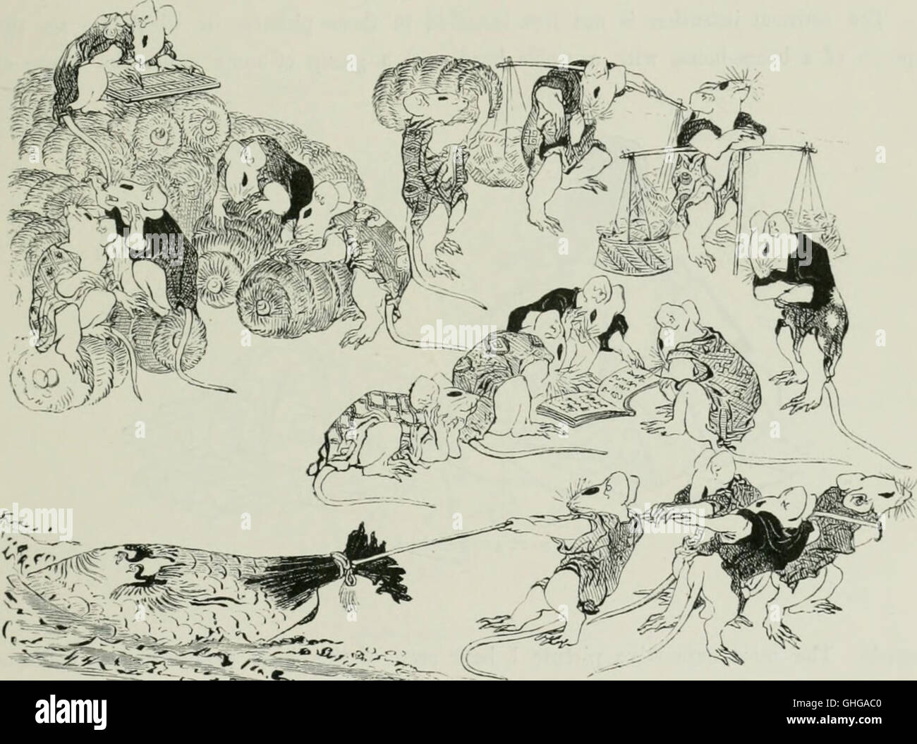 Japan and the Japanese Illustrated (1874) is a visual and written ...