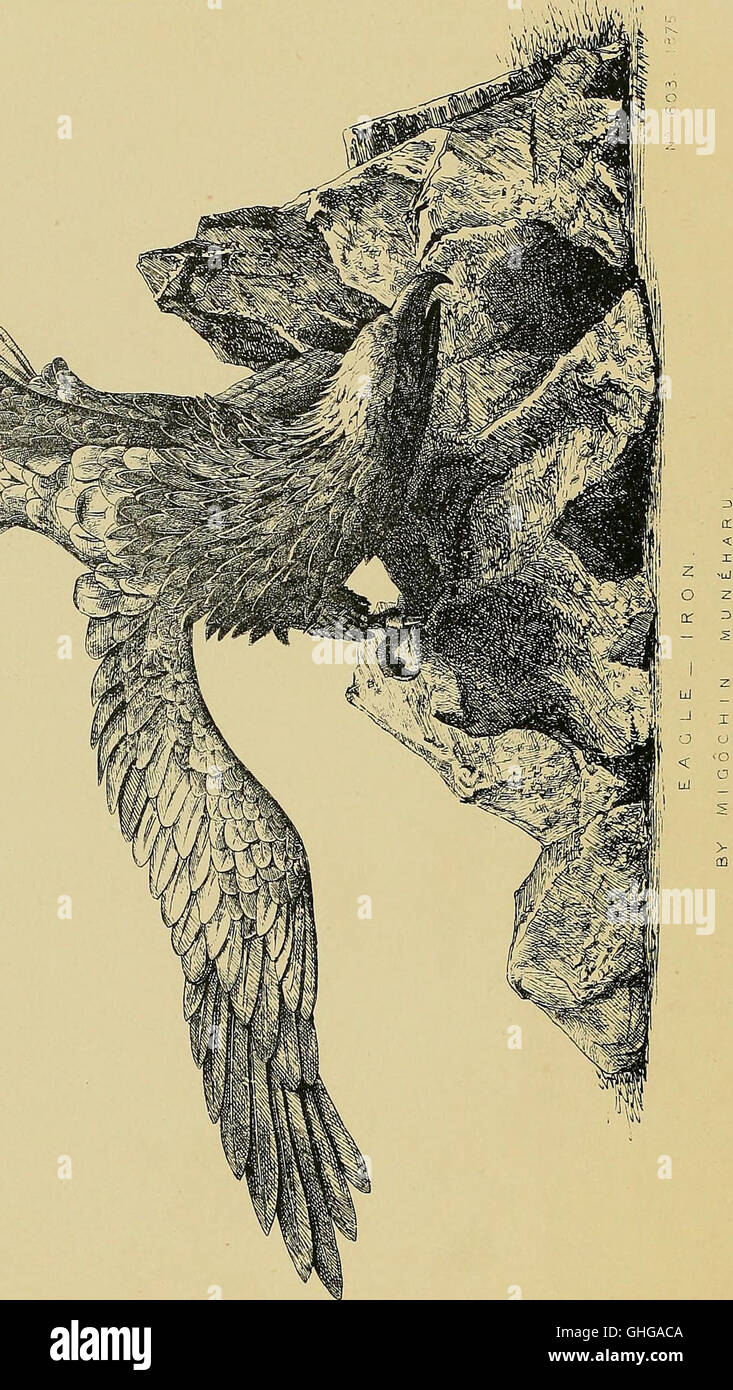 Examples of the works of art in the Museum and of the decorations of ...