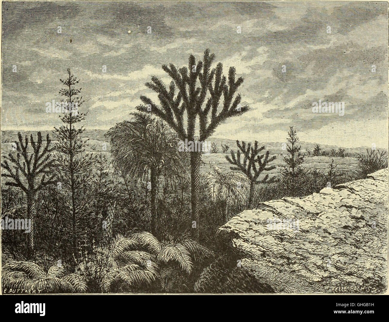 'Bruxelles, travers les âges' (1884) is a historical exploration of ...