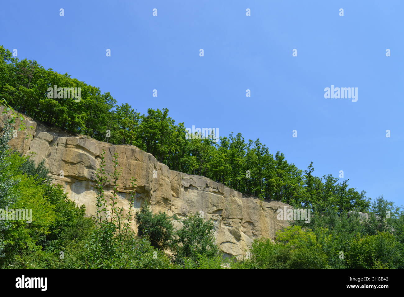 Edge of tree hi-res stock photography and images - Alamy