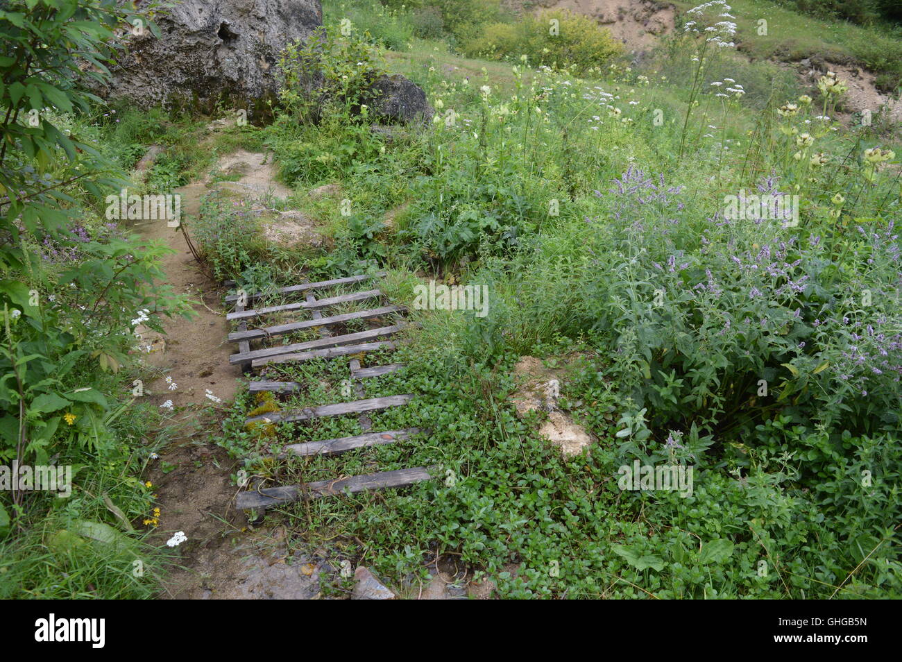 Old hiking trail Stock Photo - Alamy