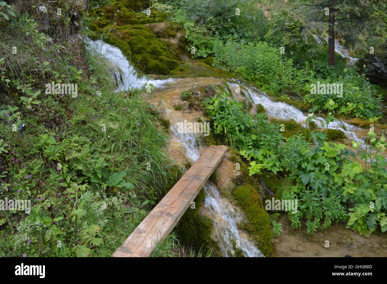 A wooden plank over a water stream Stock Photo - Alamy