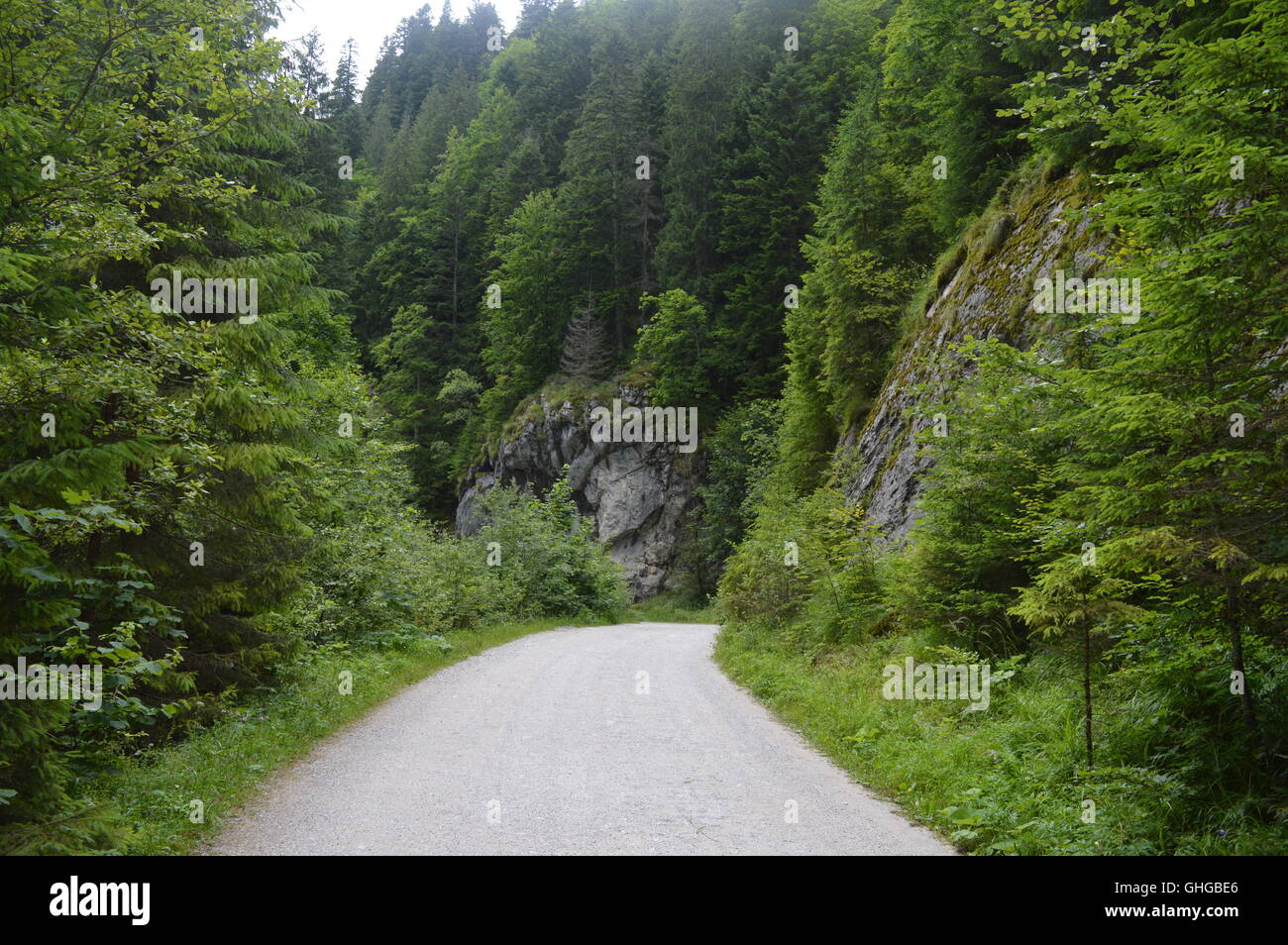 Unpaved road hi-res stock photography and images - Alamy