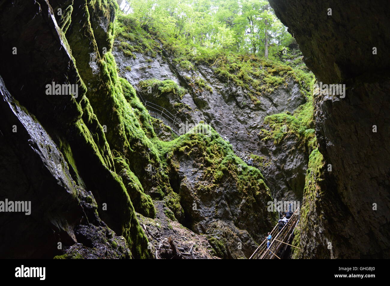 Cave Of Swallows Floor