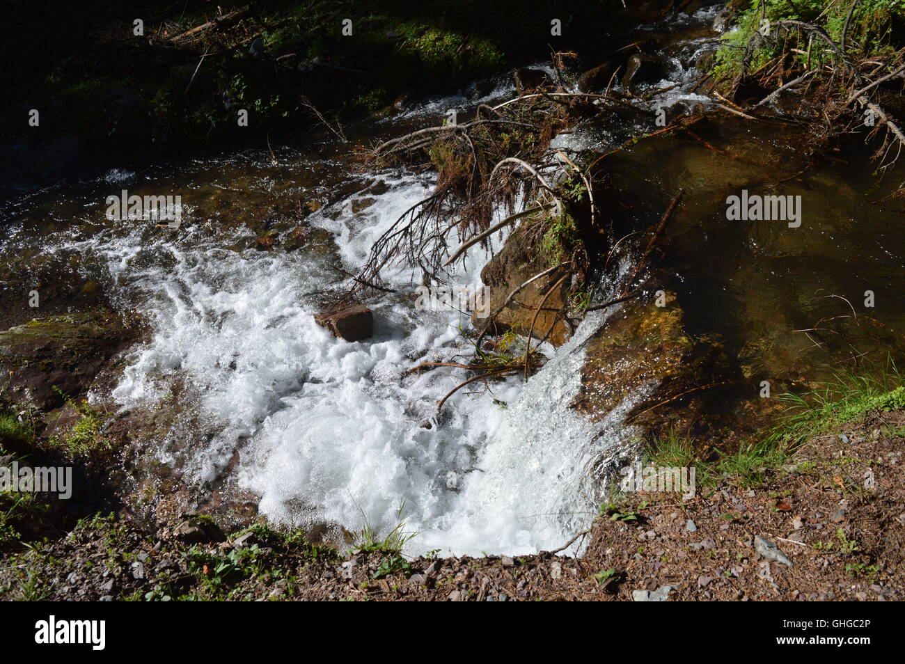 Foam on a river Stock Photo - Alamy
