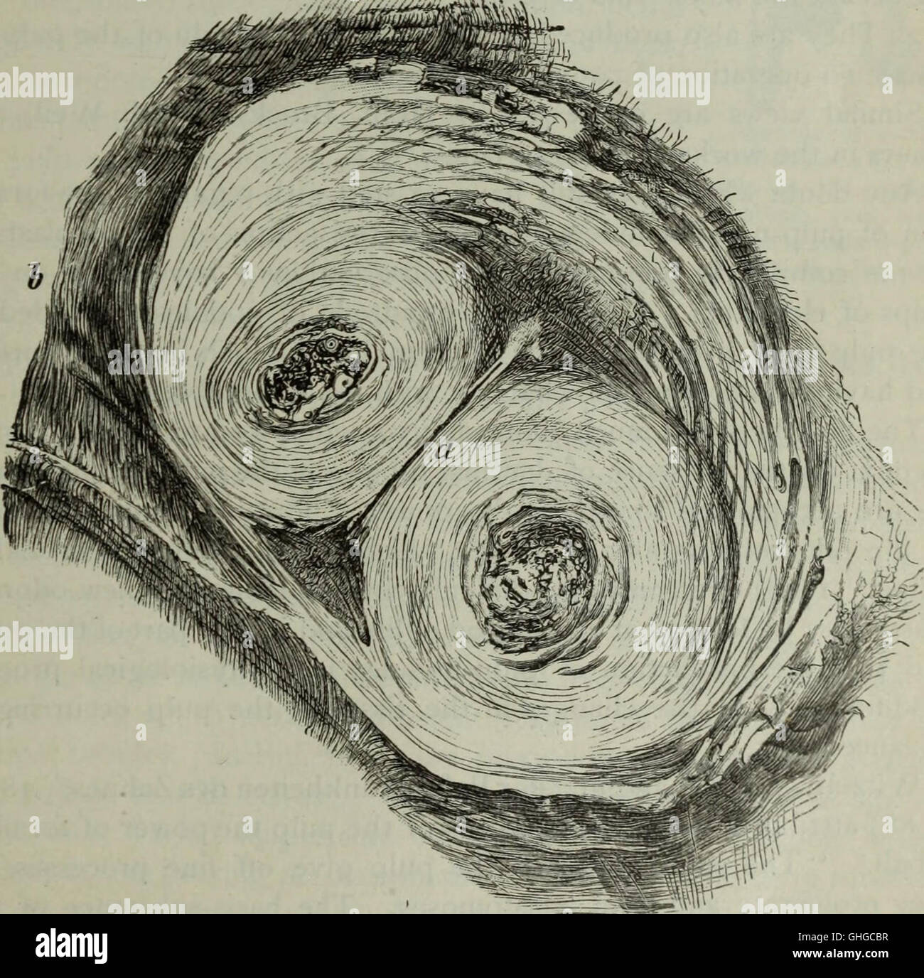 The Dental Cosmos, first published in 1891, is a comprehensive dental ...