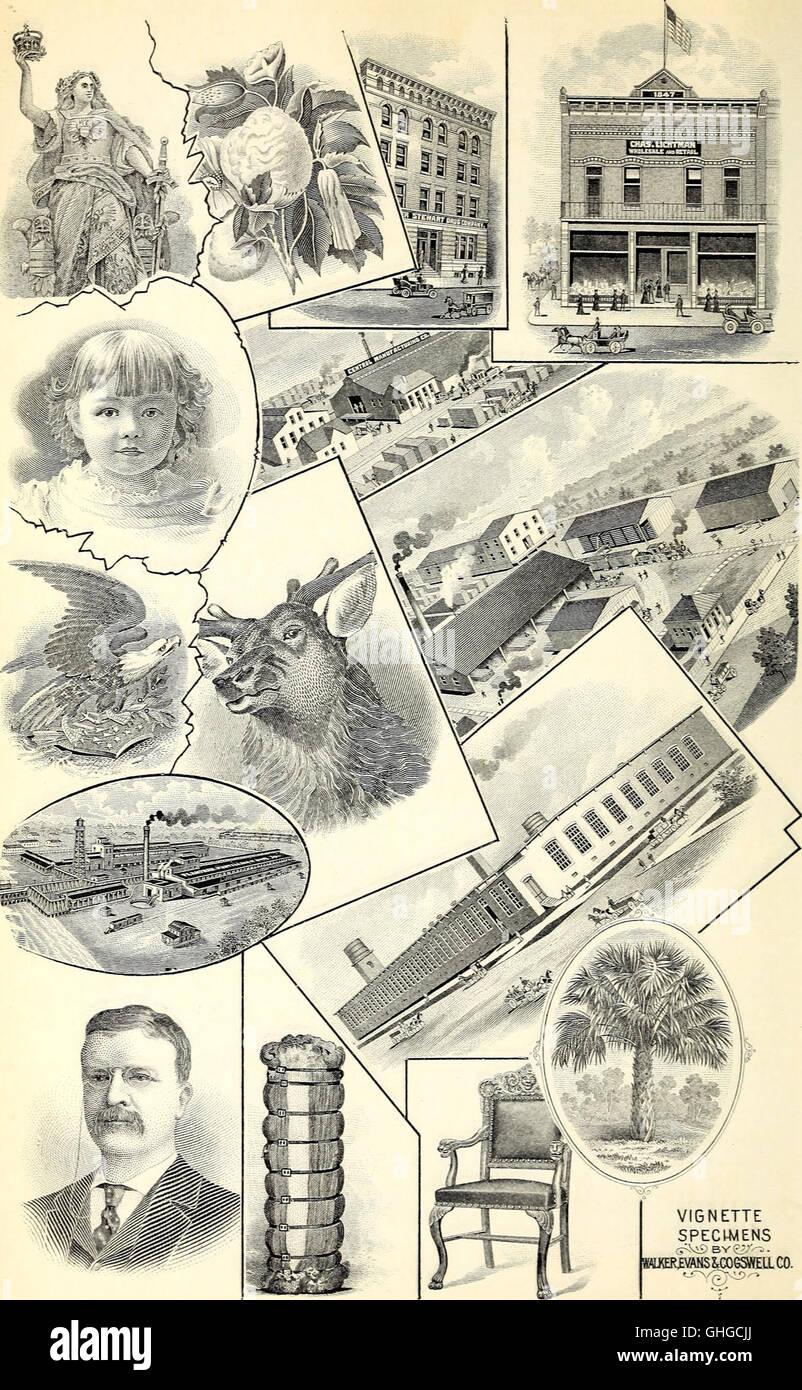 The *Anderson City Directory* (1909) provides detailed listings of ...