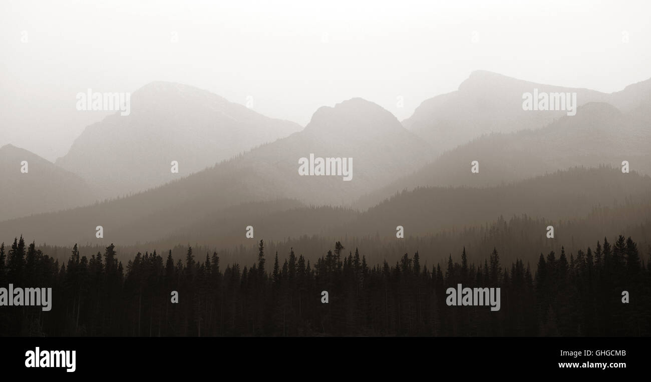 Foggy mountain forest in Banff National Park Stock Photo - Alamy