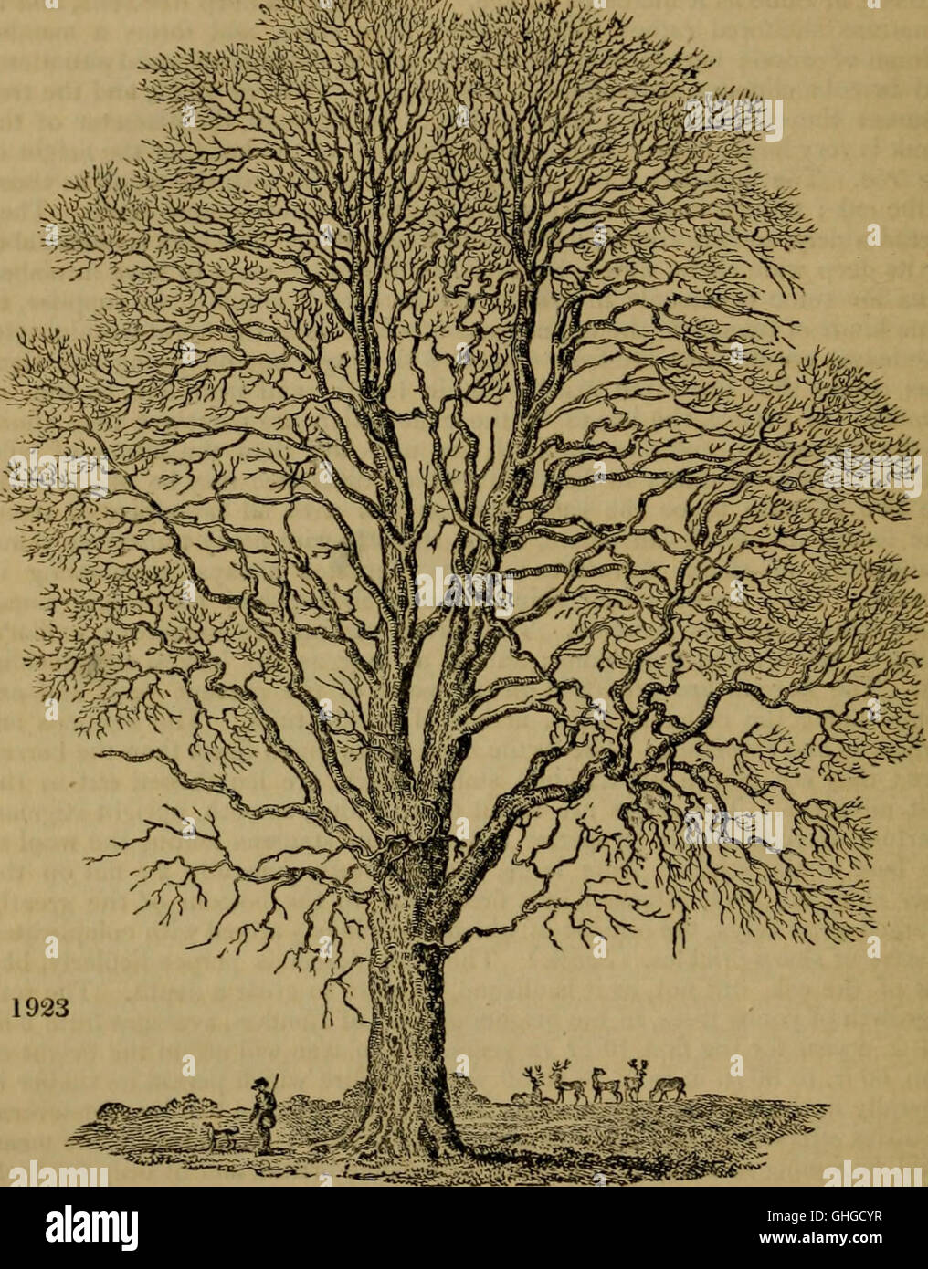 This work provides a detailed account of Britain’s trees and shrubs ...