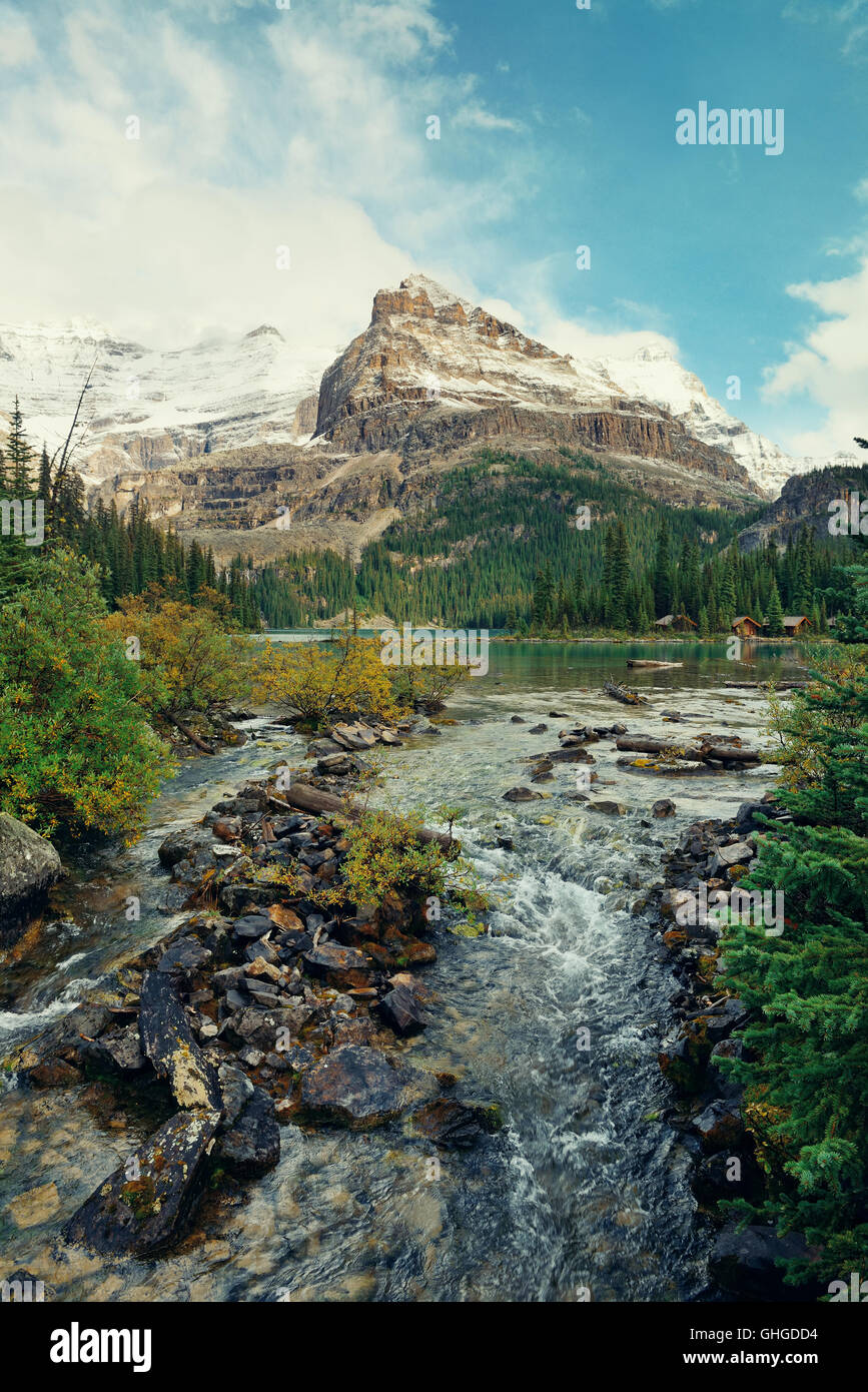 Lake O'hara, Yohu National Park, Canada Stock Photo - Alamy