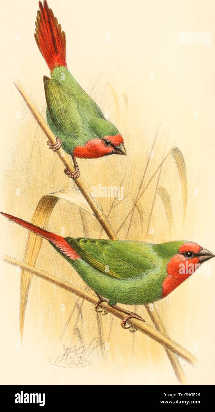 The 1901 edition of The Avicultural Magazine focuses on the care ...