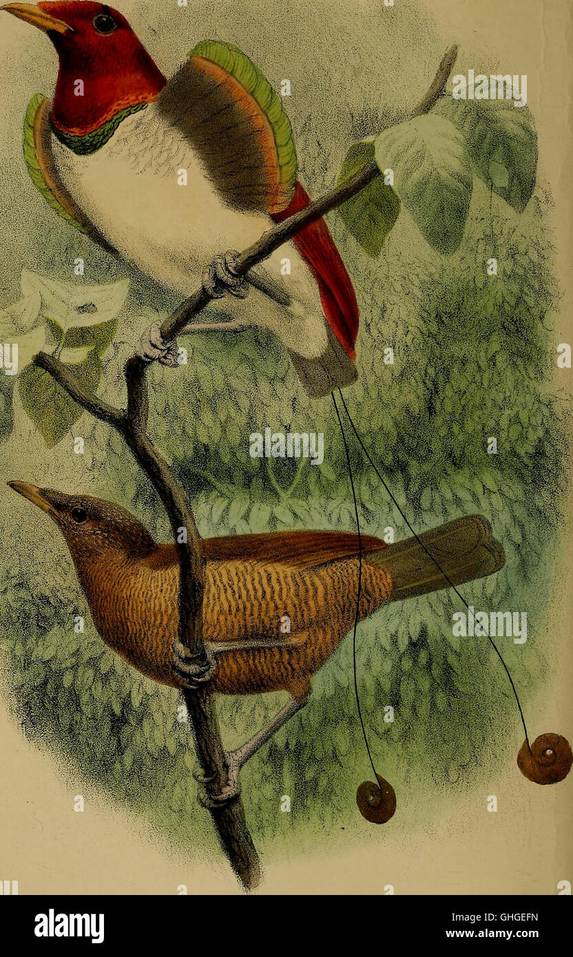 'The Avicultural Magazine' (1908) focuses on the study and care of ...