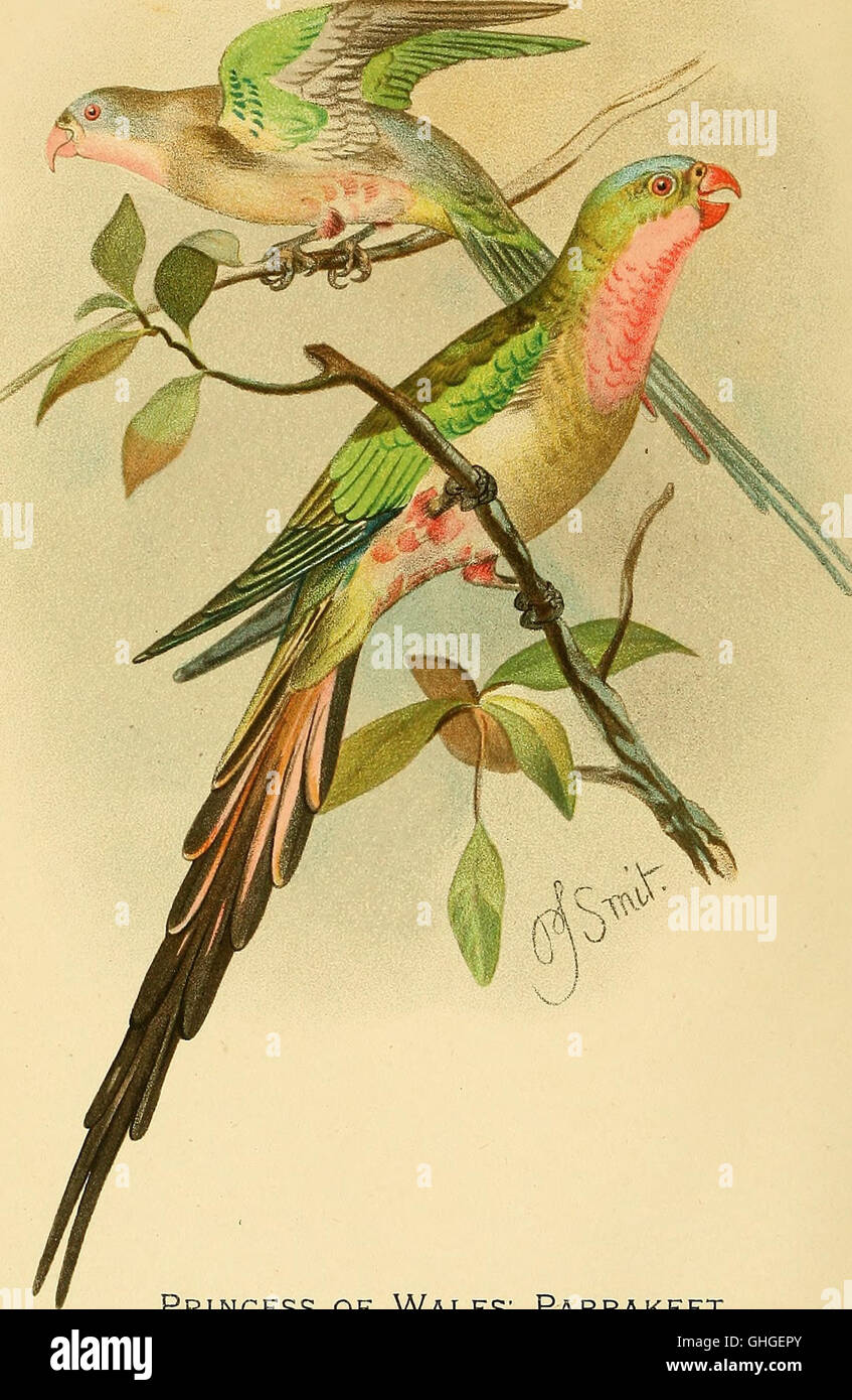 'The Avicultural Magazine' (1898) is a periodical dedicated to the care ...