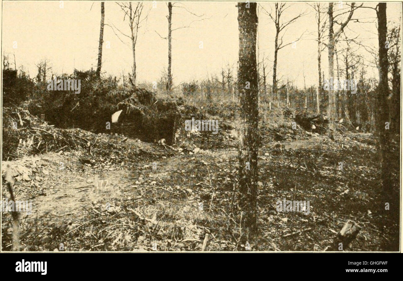 This 1920 illustrated record details Illinois’ involvement in World War ...