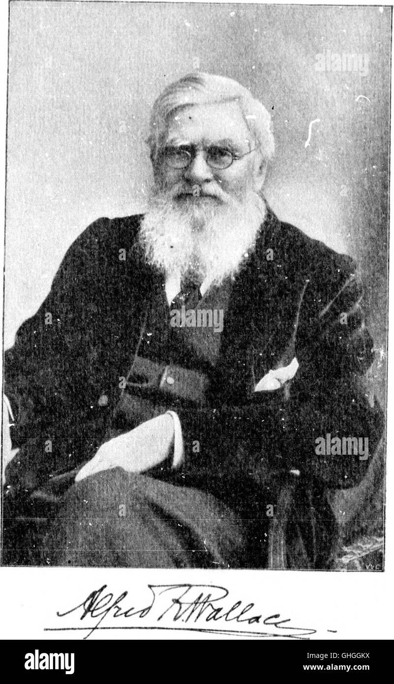 This work examines the successes and failures of the 19th century ...