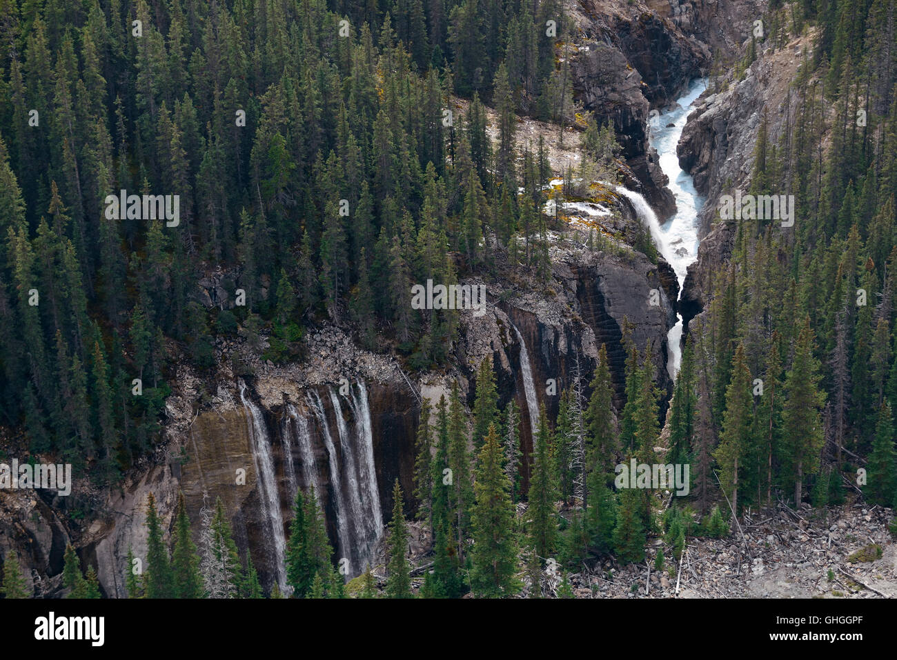 Forest and waterfall in Banff National Park, Canada Stock Photo - Alamy