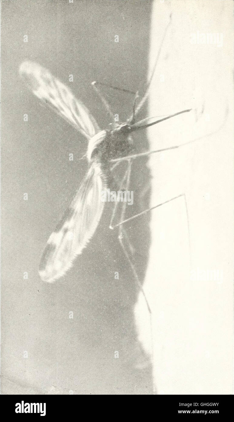 The 'Book of Monsters,' published in 1914, is a collection of mythical ...