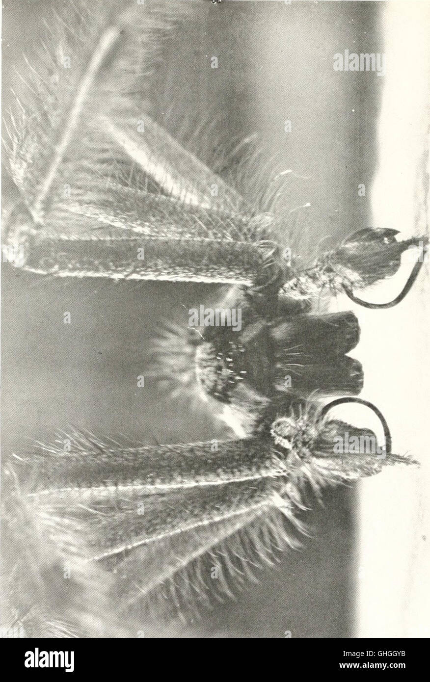 This 1914 book explores various mythical and fictional monsters ...