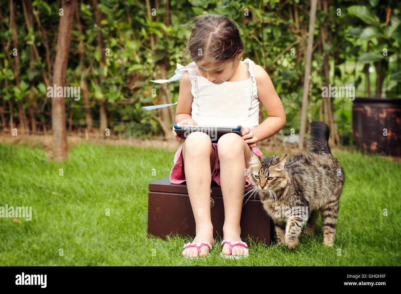 Little girl with cat using digital tablet Stock Photo - Alamy