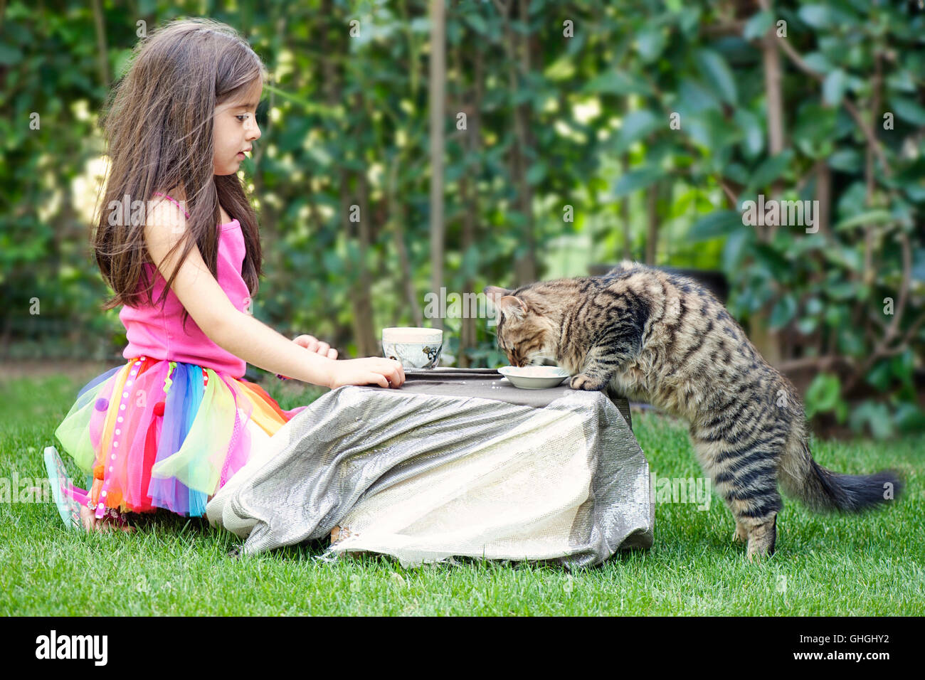 Children feeding animals hi-res stock photography and images - Alamy